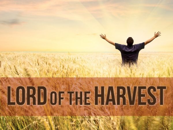 Bountiful Harvest - Prophetic Light Prophecies
